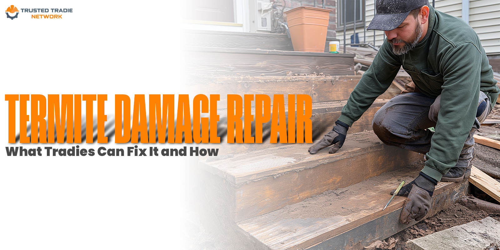 Termite Damage Repair: Which Tradies Can Fix It and How?